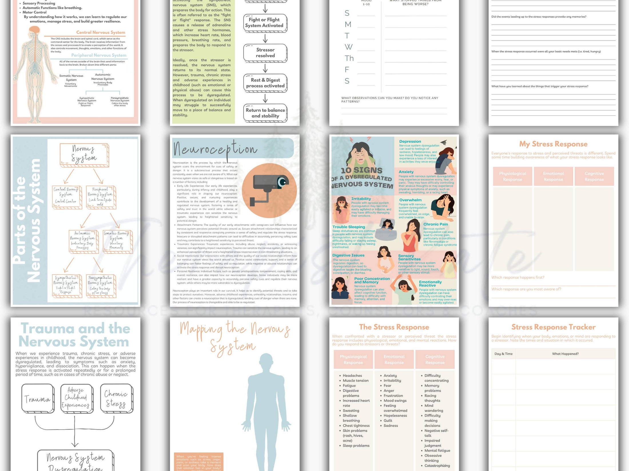 Therapy Worksheets for the Nervous System | 43 Worksheets